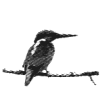 Guarda Rios | Ravasqueira